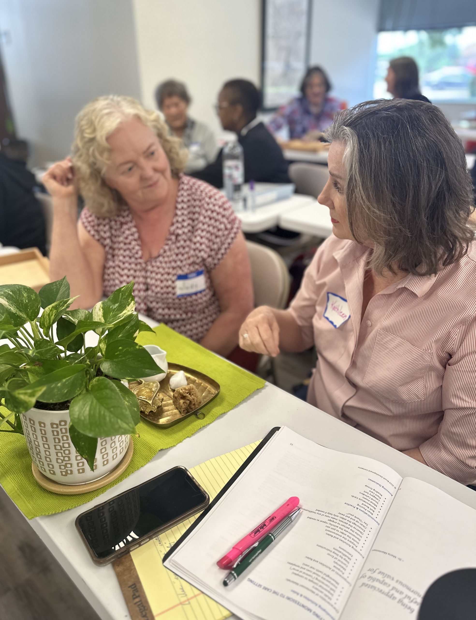 Presenting “From Can’t to Can Do!” at MINT – Dementia Care Training ...